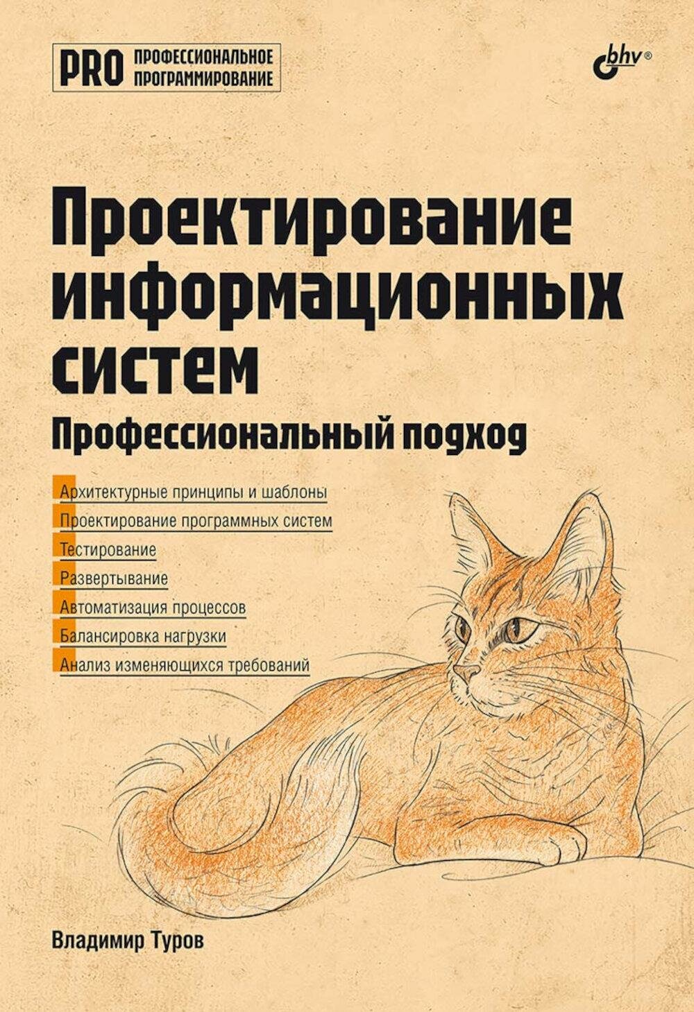 Проектирование информационных систем. Профессиональный подход, BHV 2025