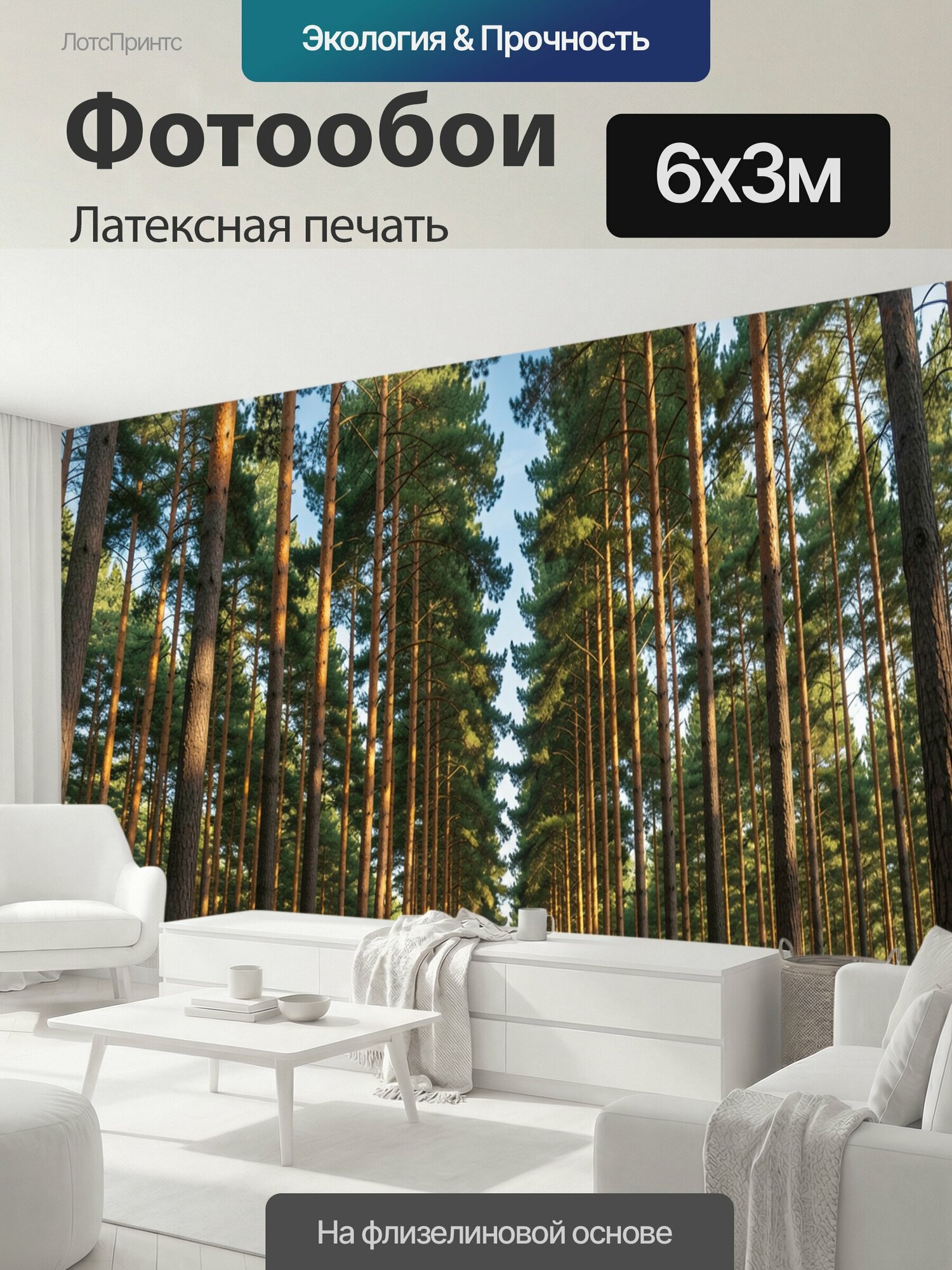 Фотообои моющиеся ударопрочные "Сосновый лес с грунтовой дорогой. Высокие хвойные деревья вдоль лесной тропы, солнечный свет, голубое небо." 600x300 см. латексная печать