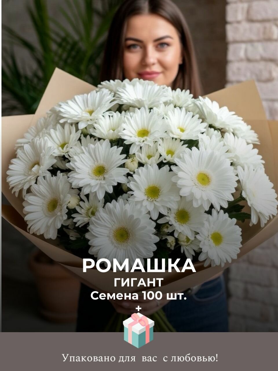 Ромашка гигант белая, многолетняя. Семена 100 шт. + Подарок. ромашка гигант семена цветов многолетние цветы