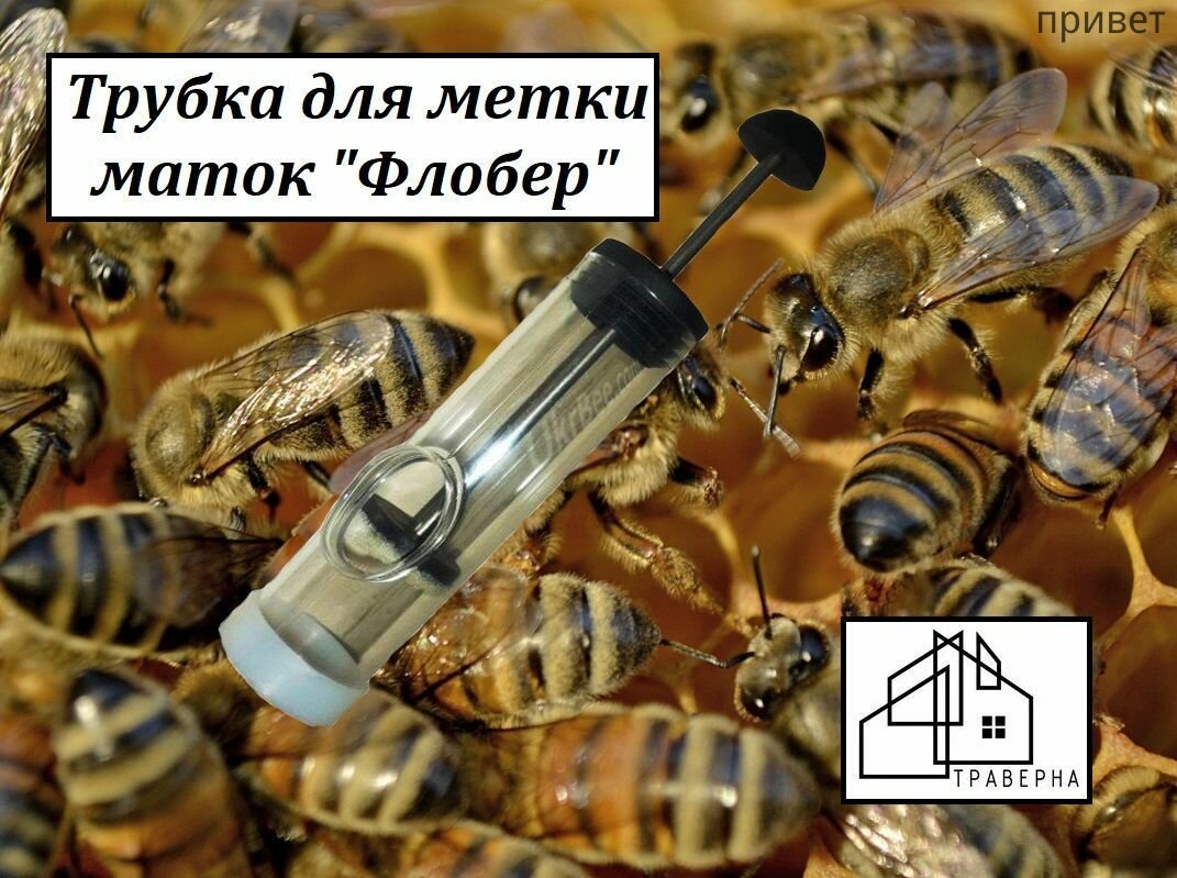 Трубка для метки маток "Флобер"