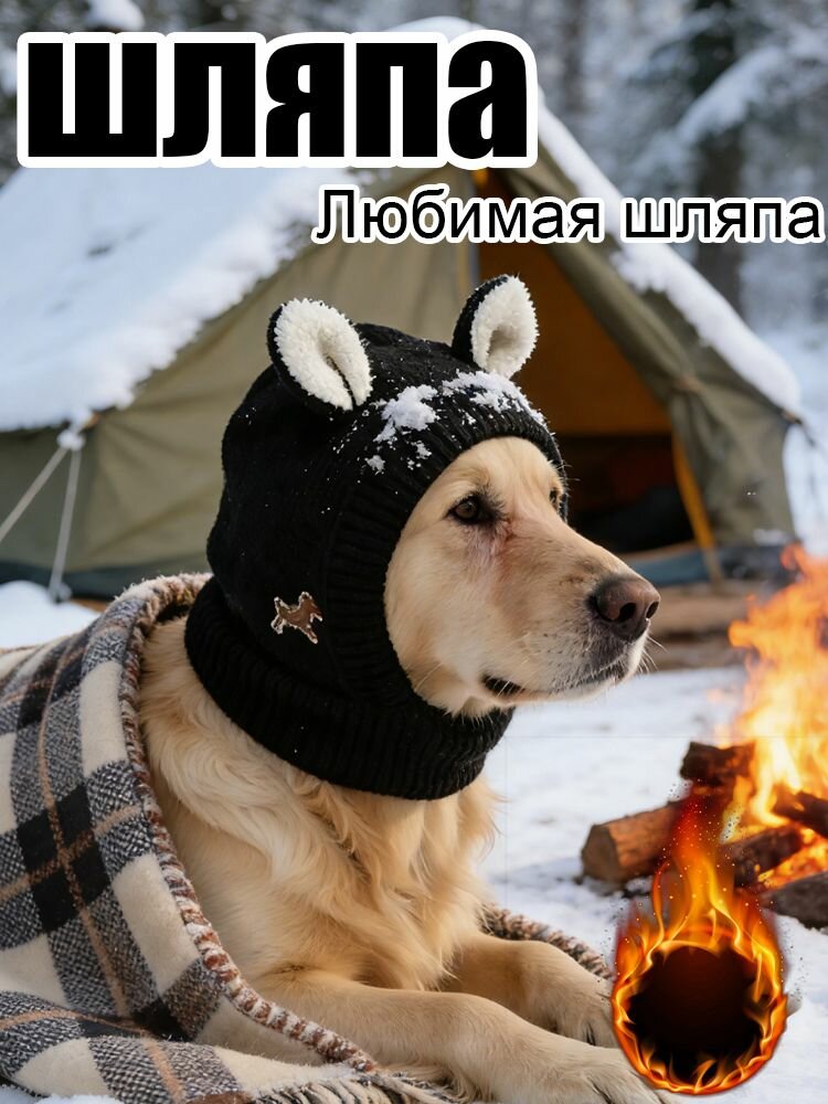 Шапка для собак: теплая зимняя шапочка для питомца