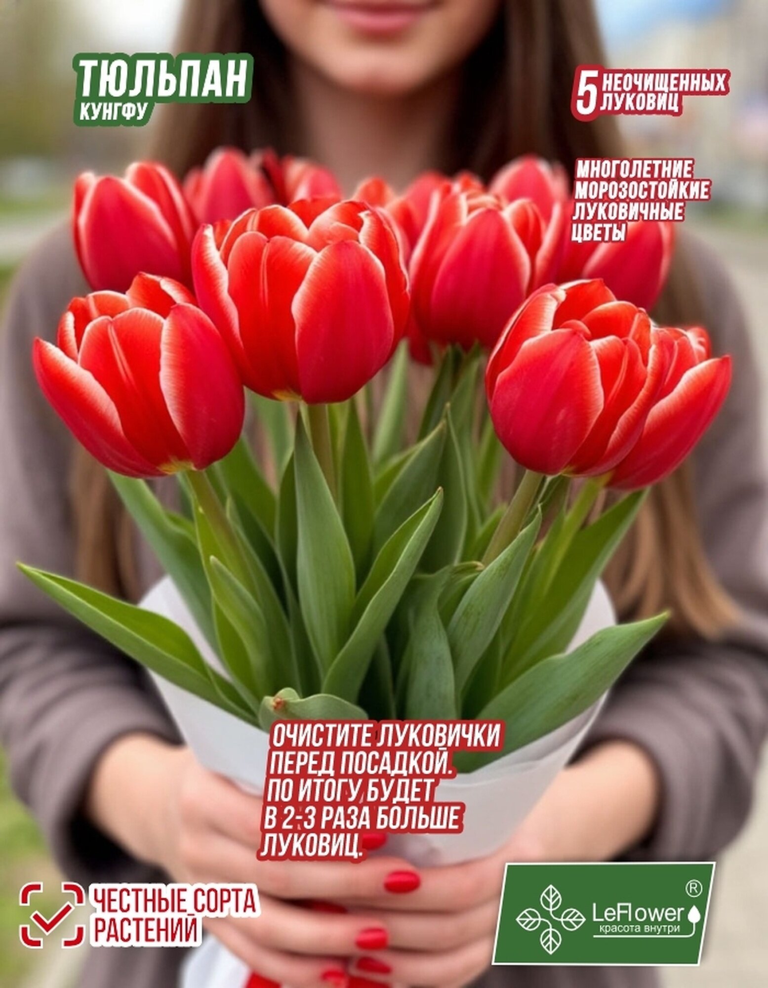 Тюльпан LeFlower "Кунг Фу", многолетние, высота 35-45см, 5шт
