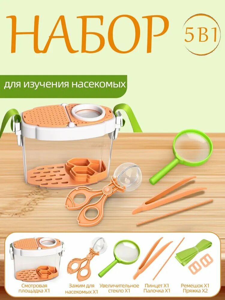 Набор для игр на открытом воздухе детей, набор ловли насекомых, наблюдения за ящиками, исследования насекомых