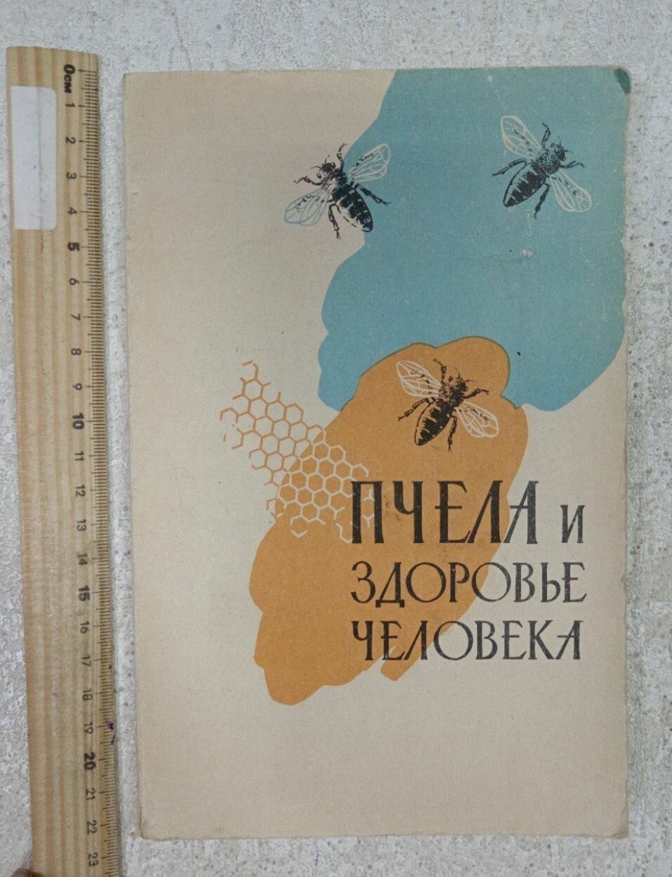 Пчела и здоровье человека