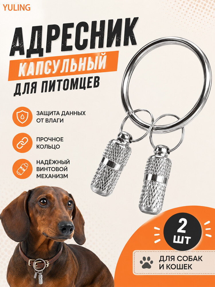 Адресник капсула на ошейник для собак, 2 шт, 2.2 х 0.8 см, никелированная латунь, бумажный вкладыш адресник никелированный капсула для ошейника набор 2 штуки