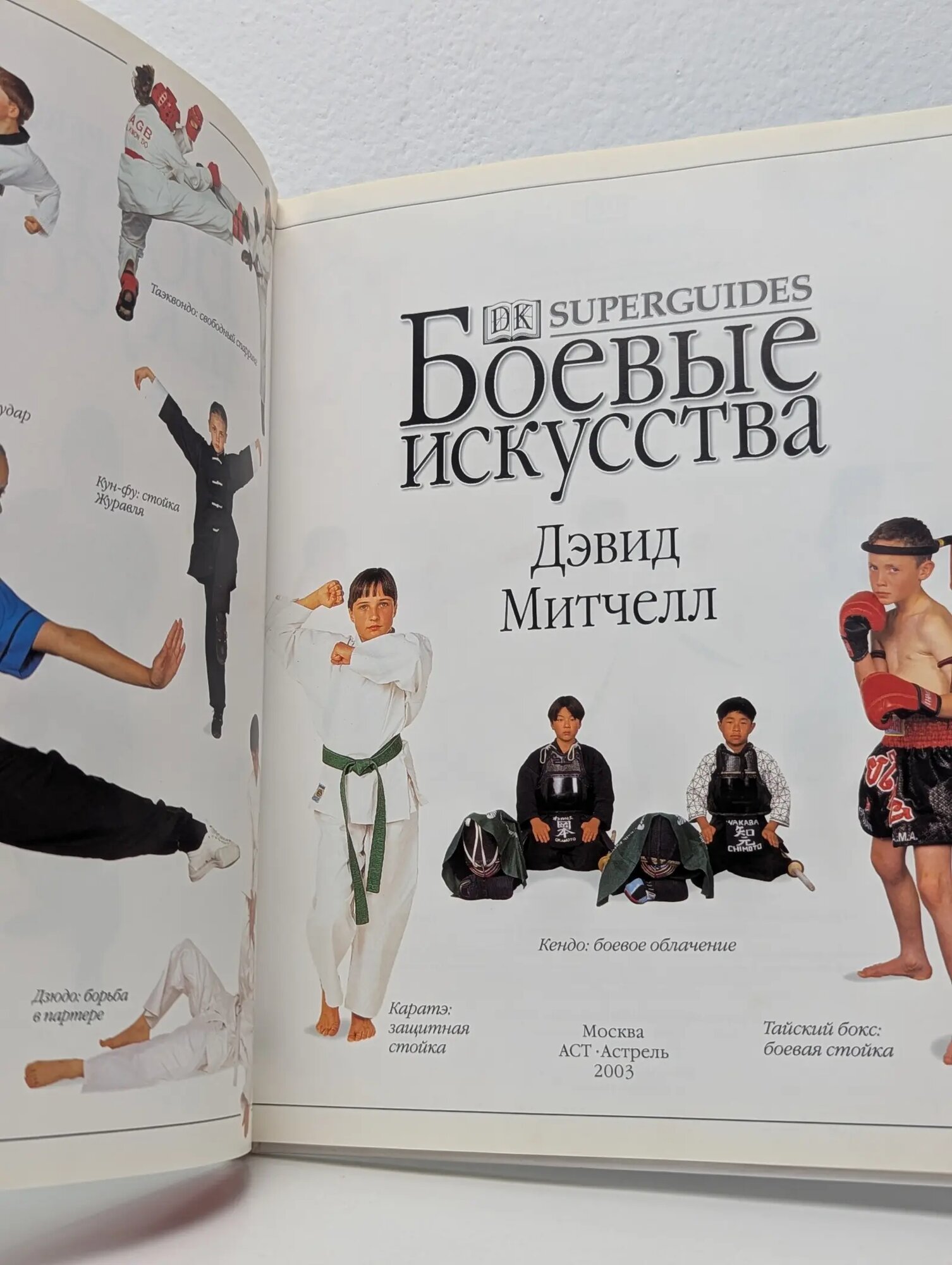 Боевые искусства Митчелл Дэвид Стивен 2003 — фото 1