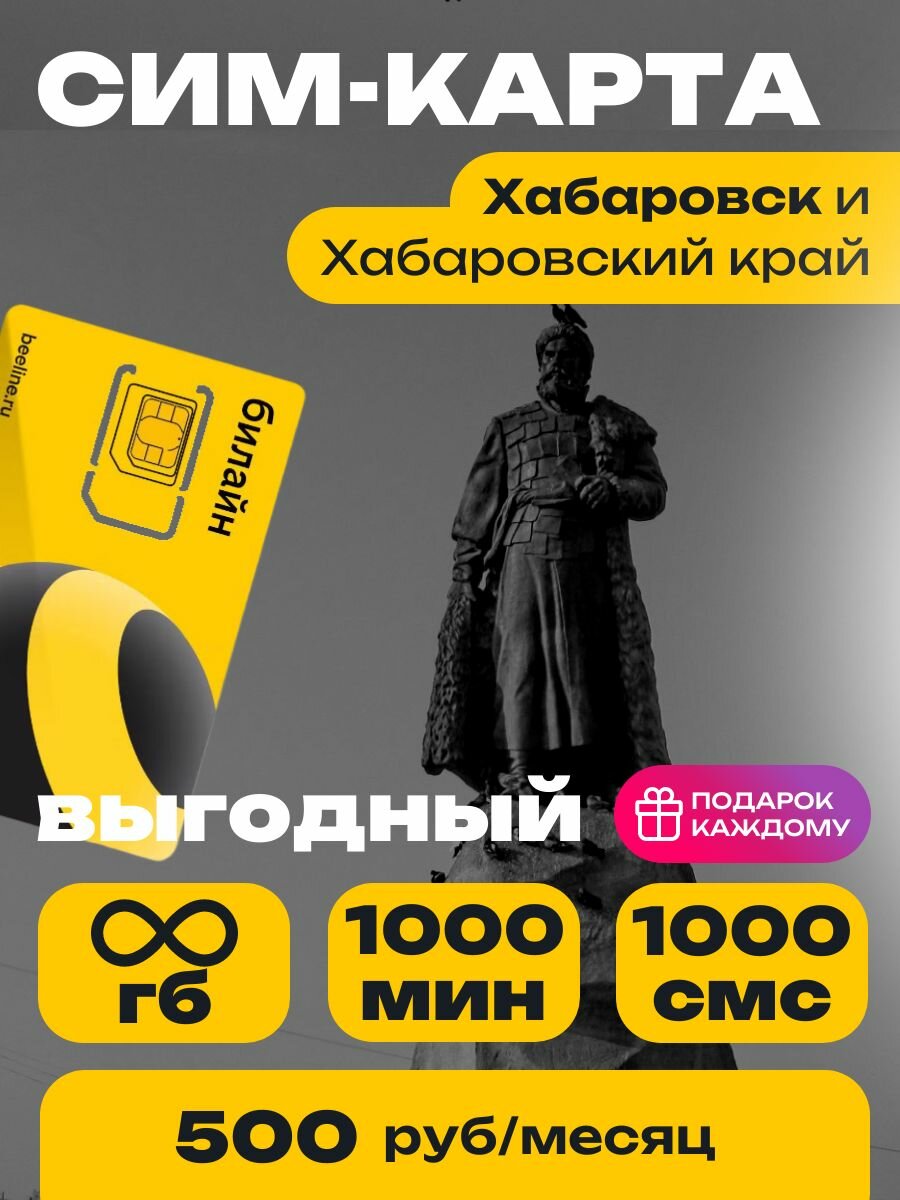 Сим-карта Билайн тариф Выгодный Хабаровский край Безлимитный интернет и 1000 минут за 500 руб.
