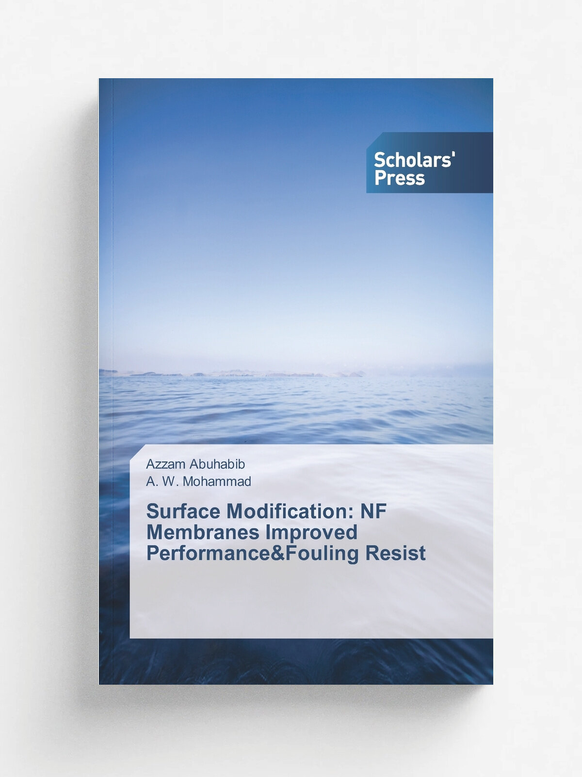 Surface Modification. NF Membranes Improved Performance&Fouling Resist