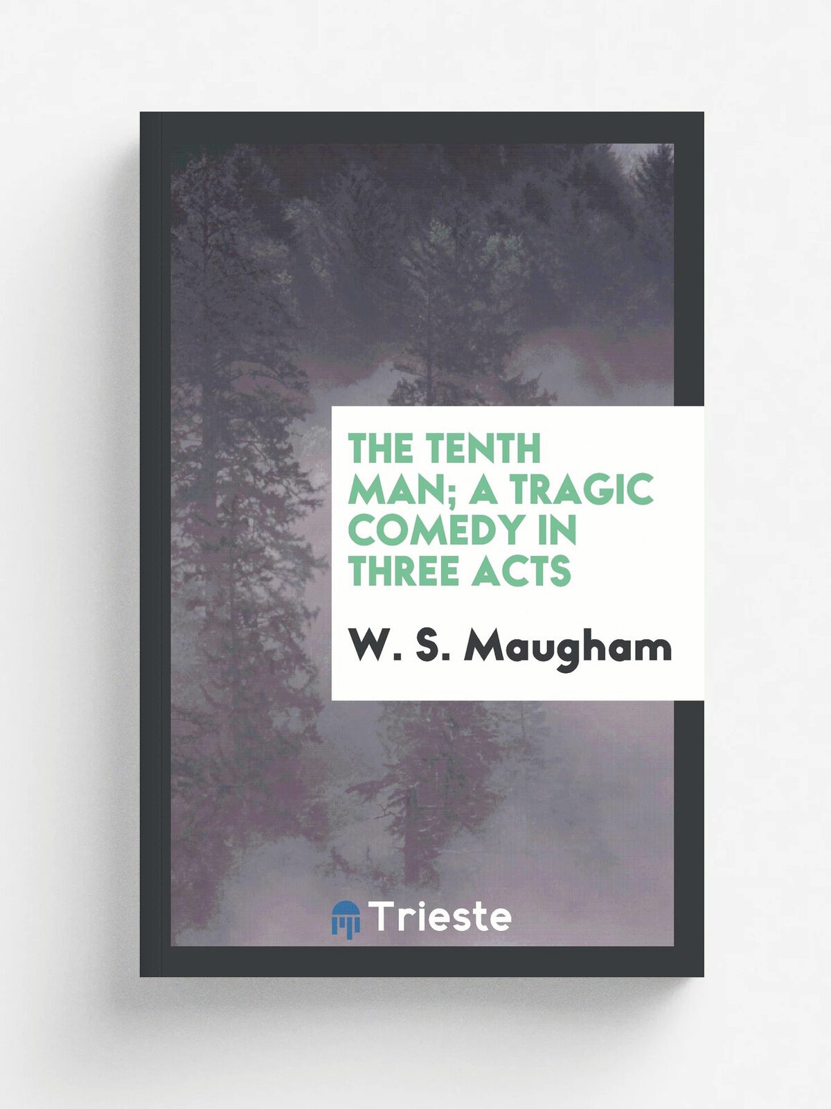 The tenth man; a tragic comedy in three acts