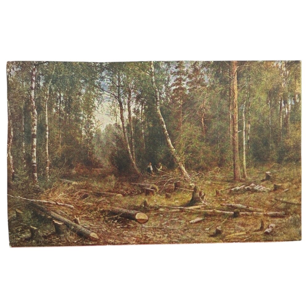 Почтовая открытка "Шишкин - Березовый лес" 1960 г. СССР