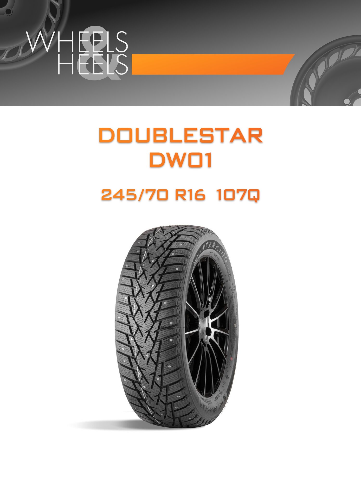 Шина автомобильная DoubleStar DW01 245/70 R16 107Q WINTER Ш, зимняя, универсальная