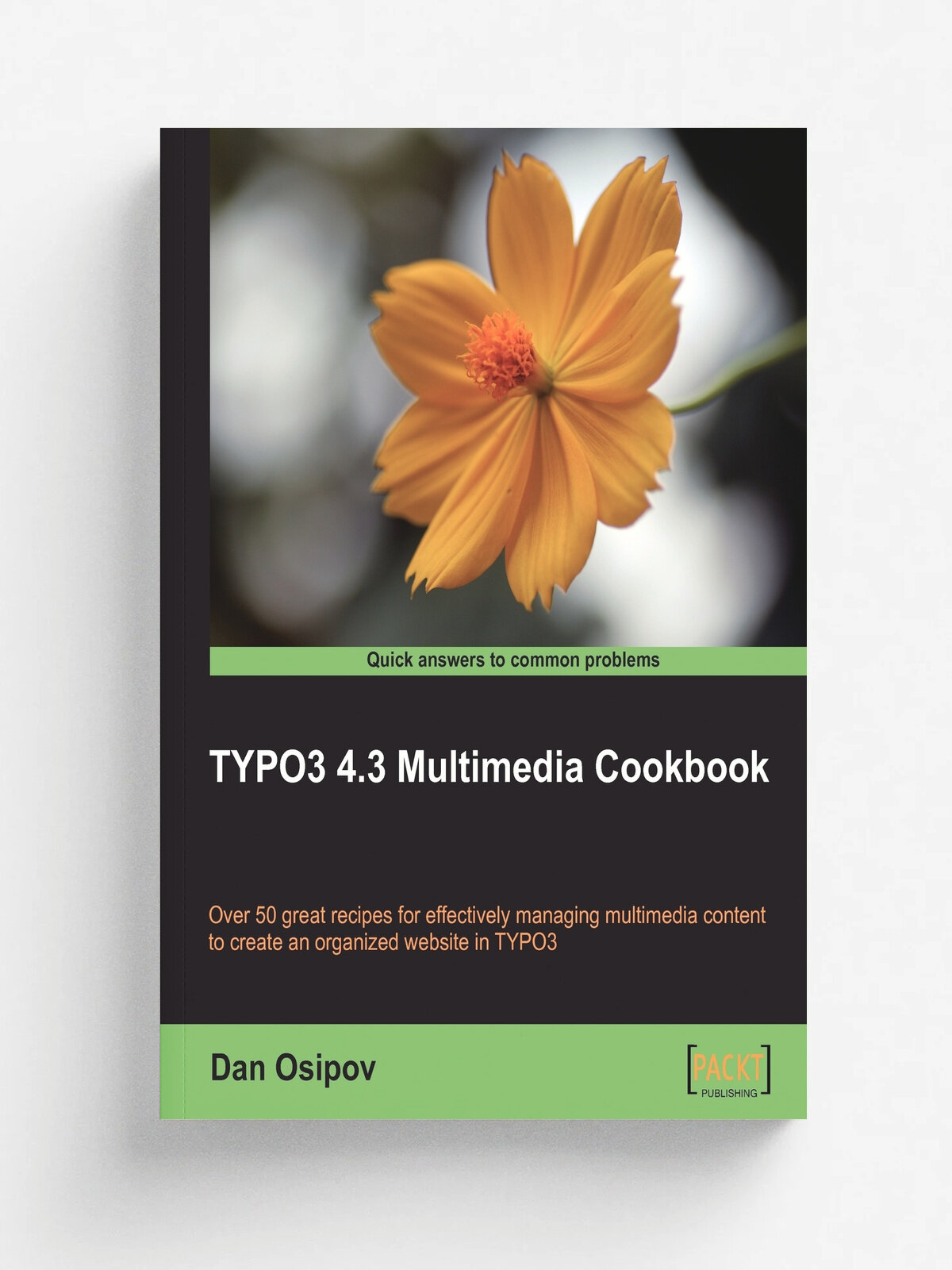 Typo3 4.3 Multimedia Cookbook