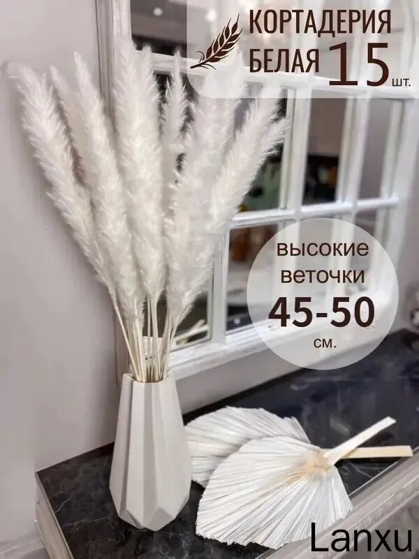 Сухоцветы Камышовая трава, 50 см, 70 гр, 15 шт
