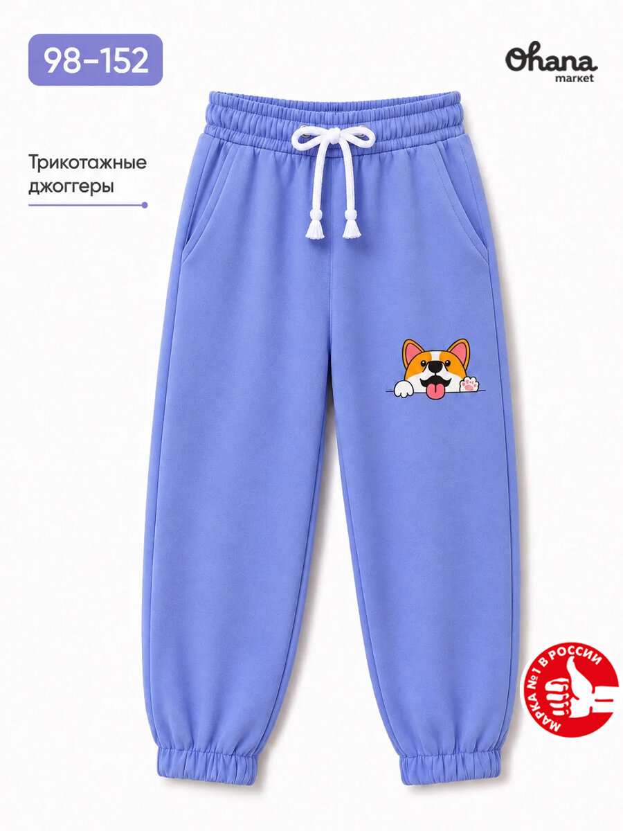 Брюки спортивные для физкультуры и детского сада