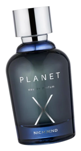 Nicheend Planet X парфюм для женщин и мужчин 100 мл - Ничинд Планета Икс