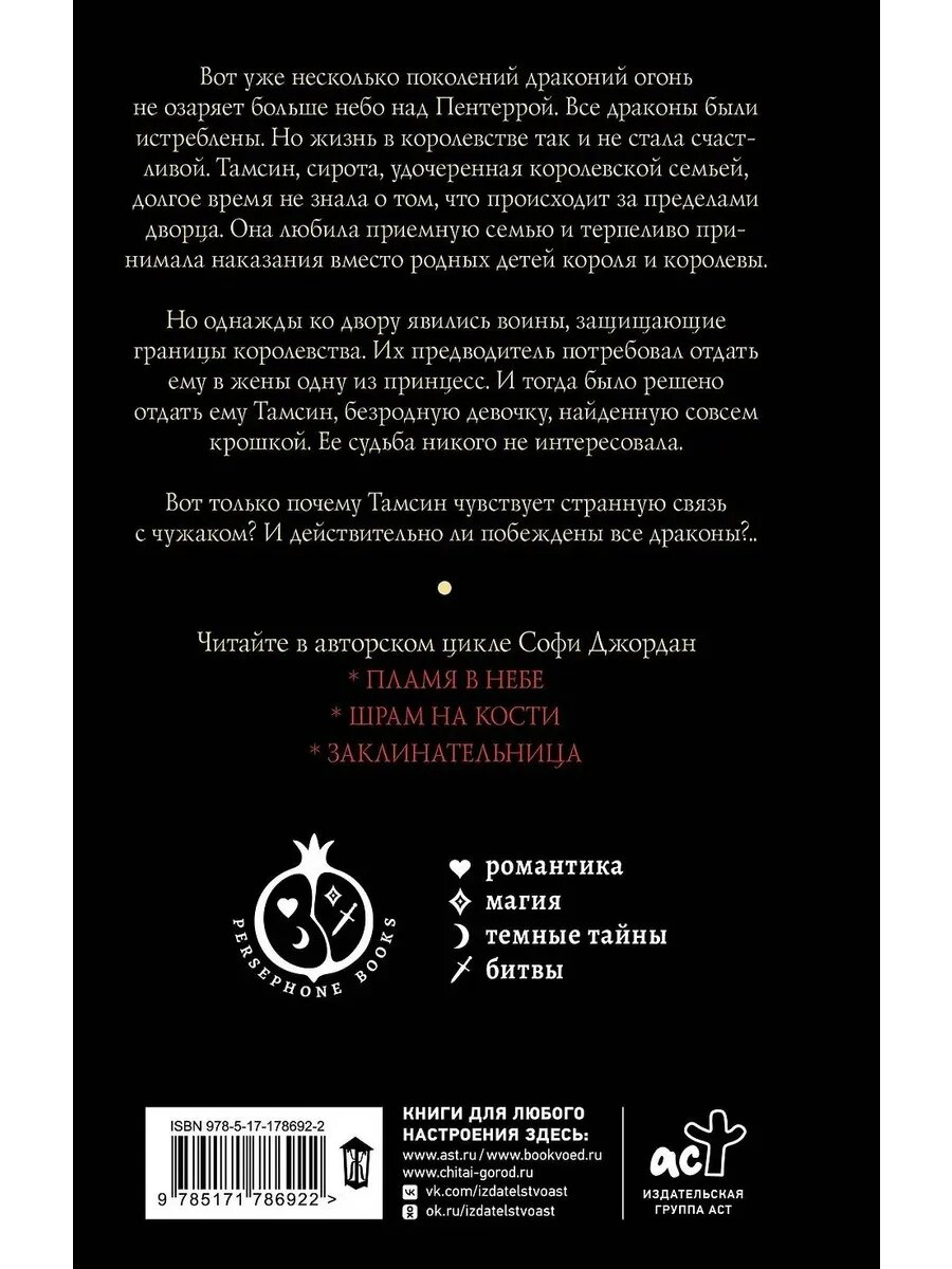 Книга Пламя в небе — фото 1