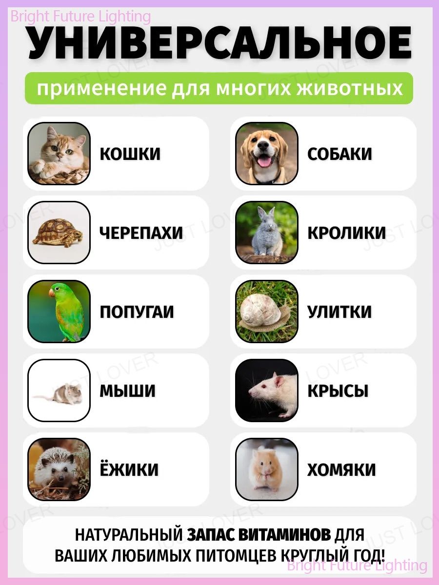 Миска для животных — фото 1
