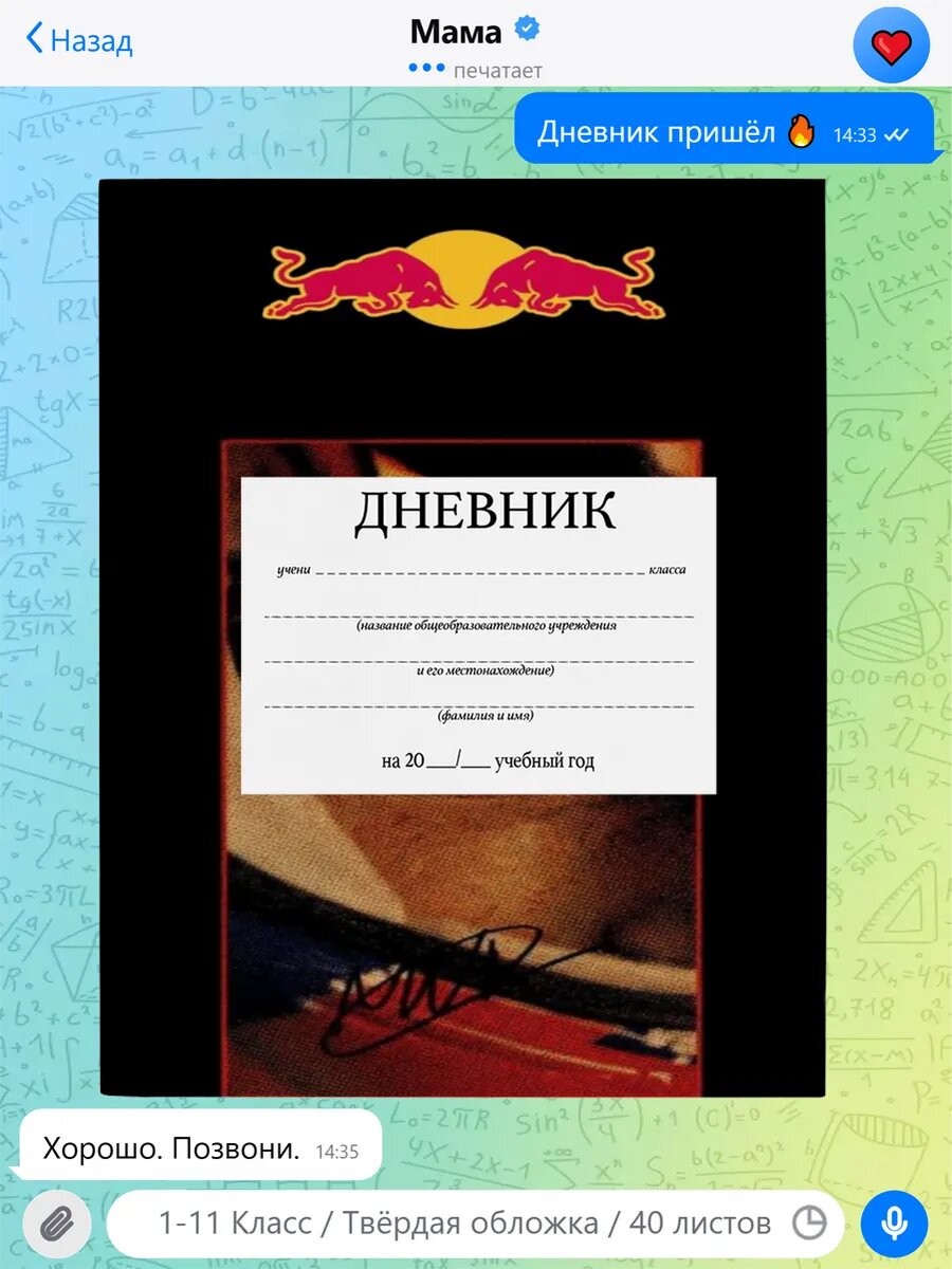 Школьный дневник с принтом y2k pinterest