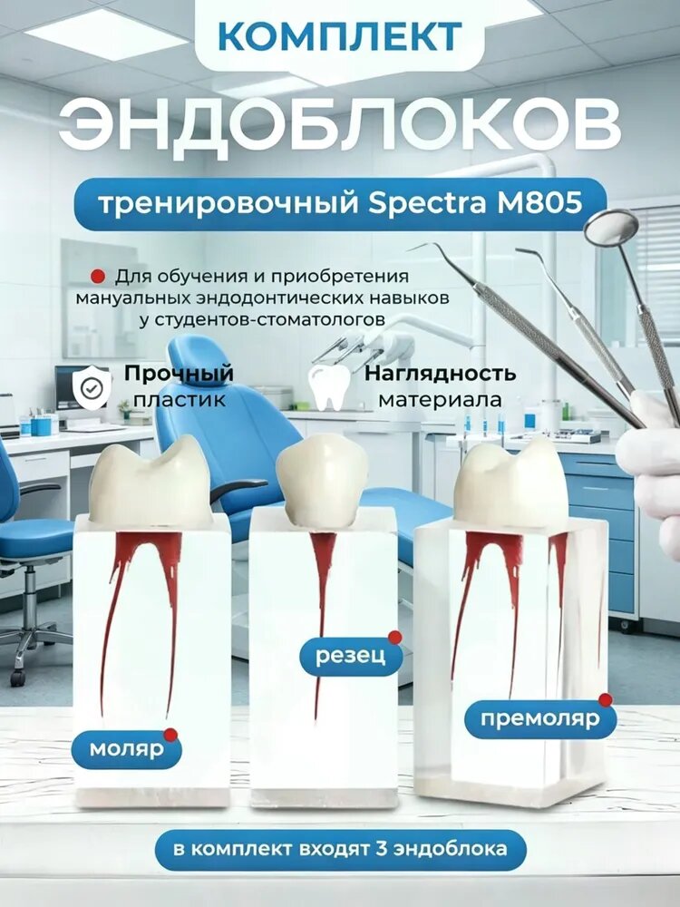 Комплект эндоблоков стоматологических Spectra M805 / резец, премоляр, моляр / анатомическая модель