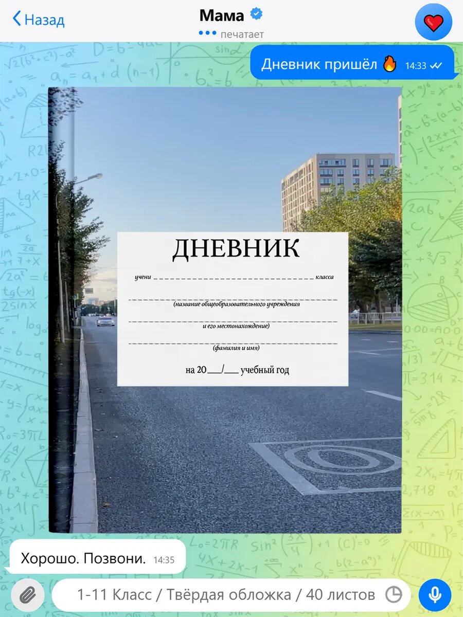 Школьный дневник с принтом Роблокс