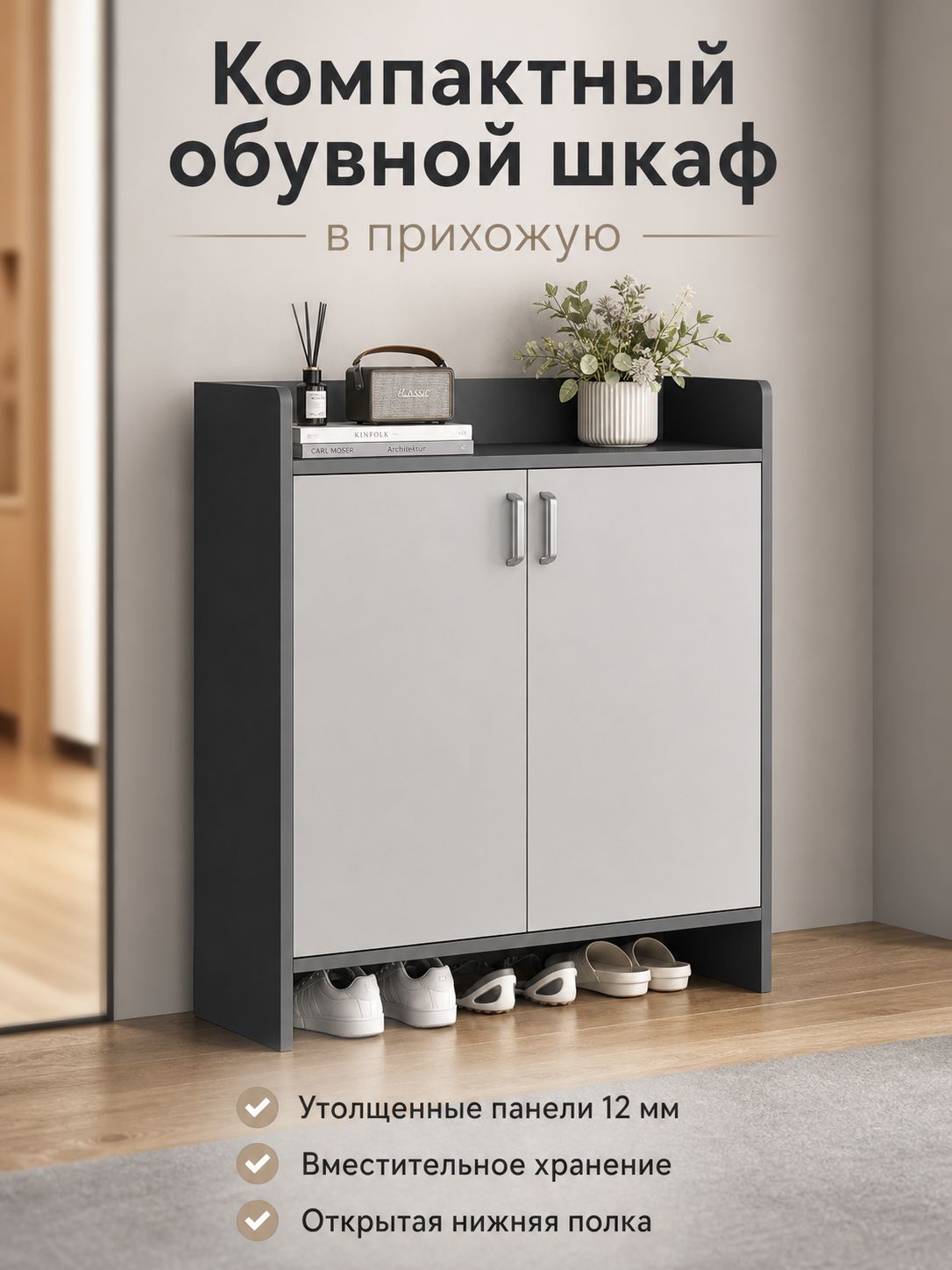 Тумба для обуви с 2 дверцами, графитовый серый и облачный, 60x30x80 см