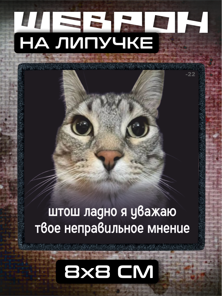 Шеврон на липучке Кот мемный смешные