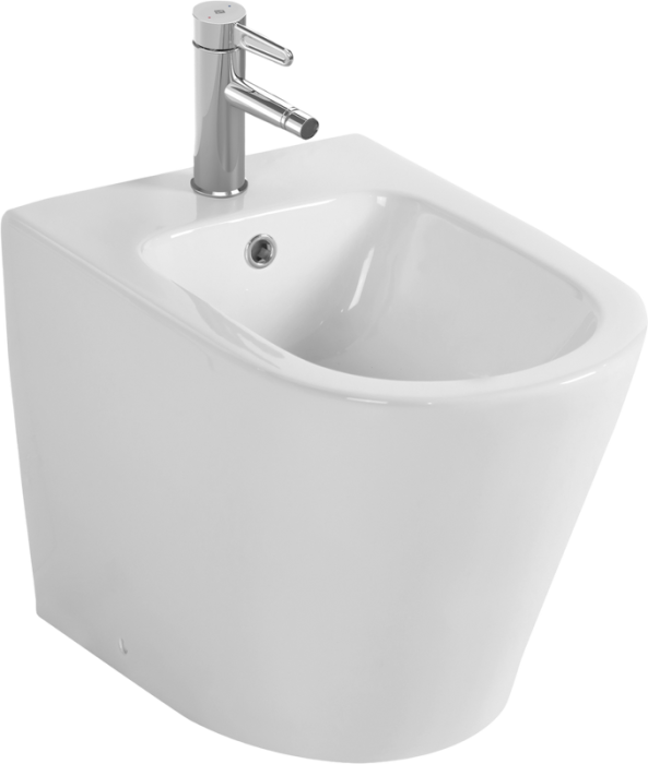 Биде напольное Jacob Delafon Rodin+ EBJ0002-00