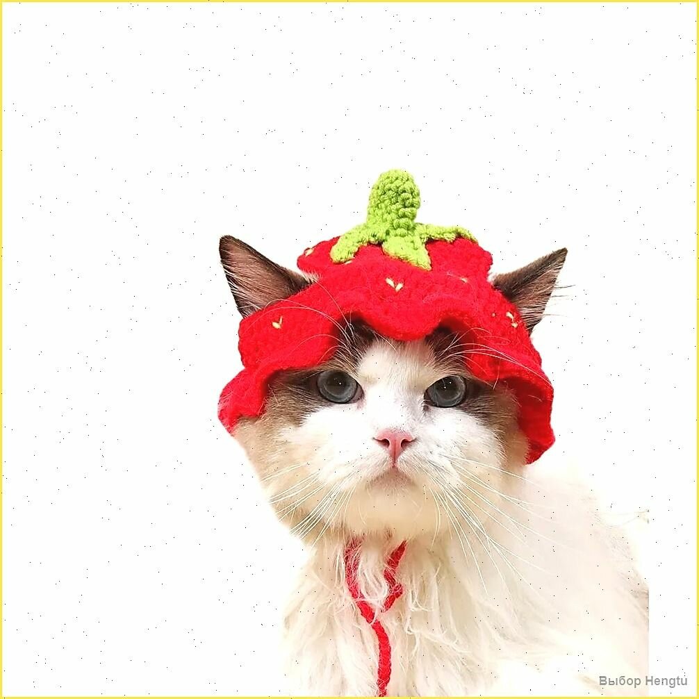 Головной убор "Кошка шляпа", для кошек, красный, вязаный, мягкий, для прогулок