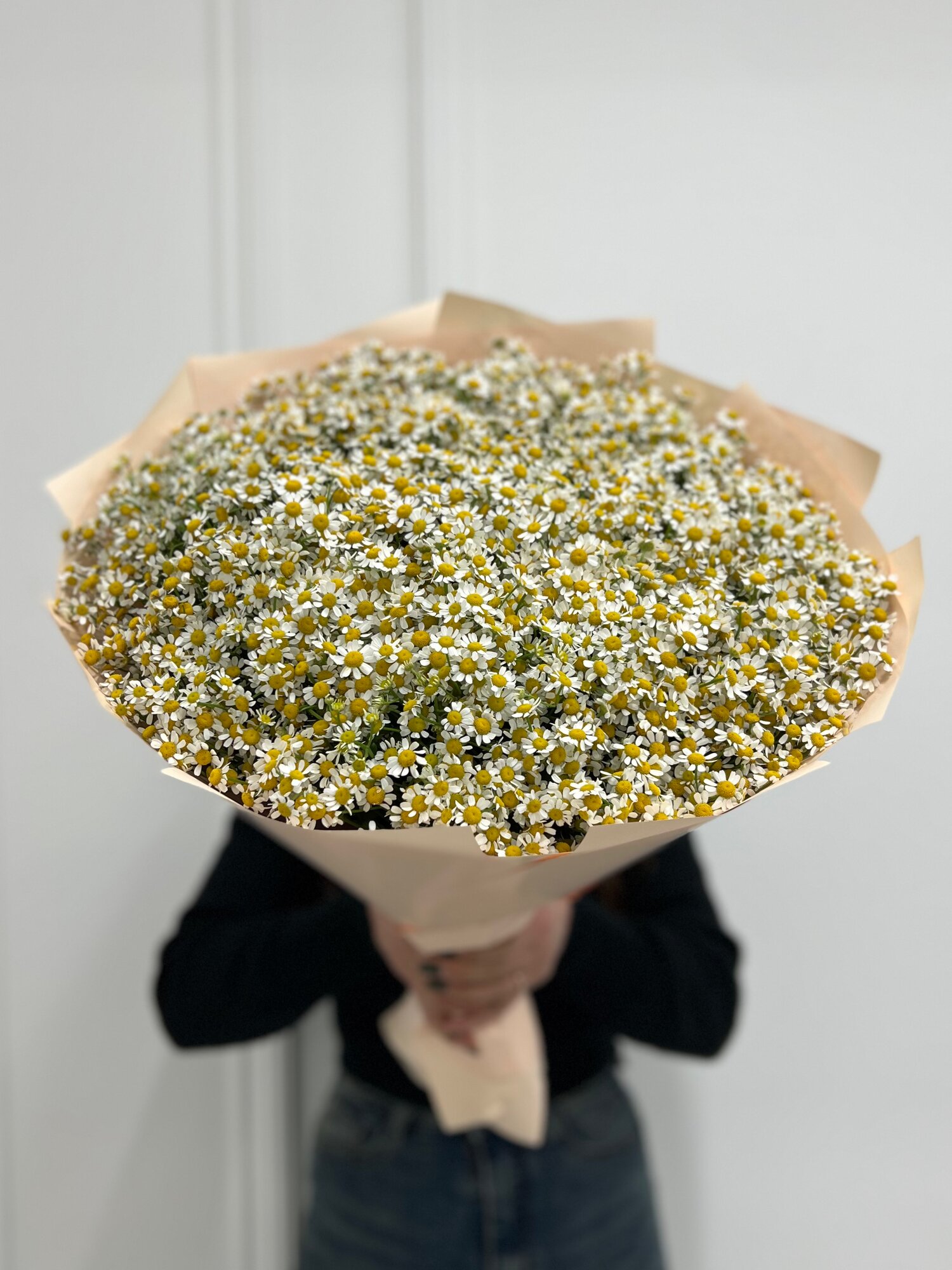 Гламелия цветы 55 ромашки - танацетум персик упаковка – заказать с доставкой