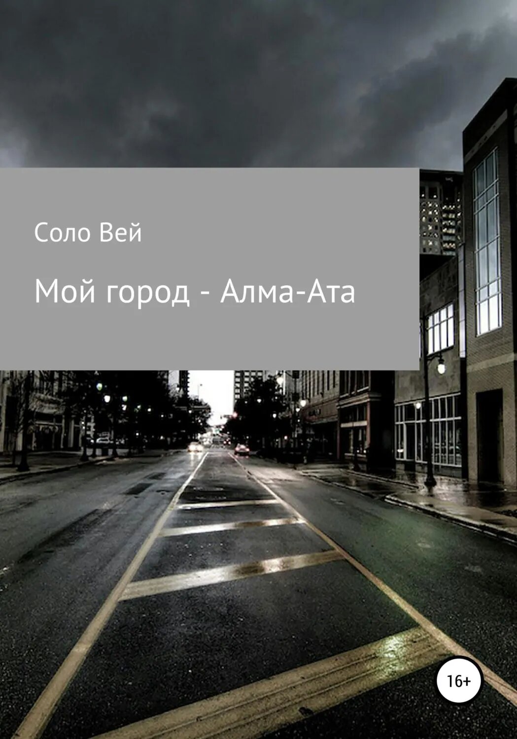 Мой город - Алма-Ата [Цифровая книга]