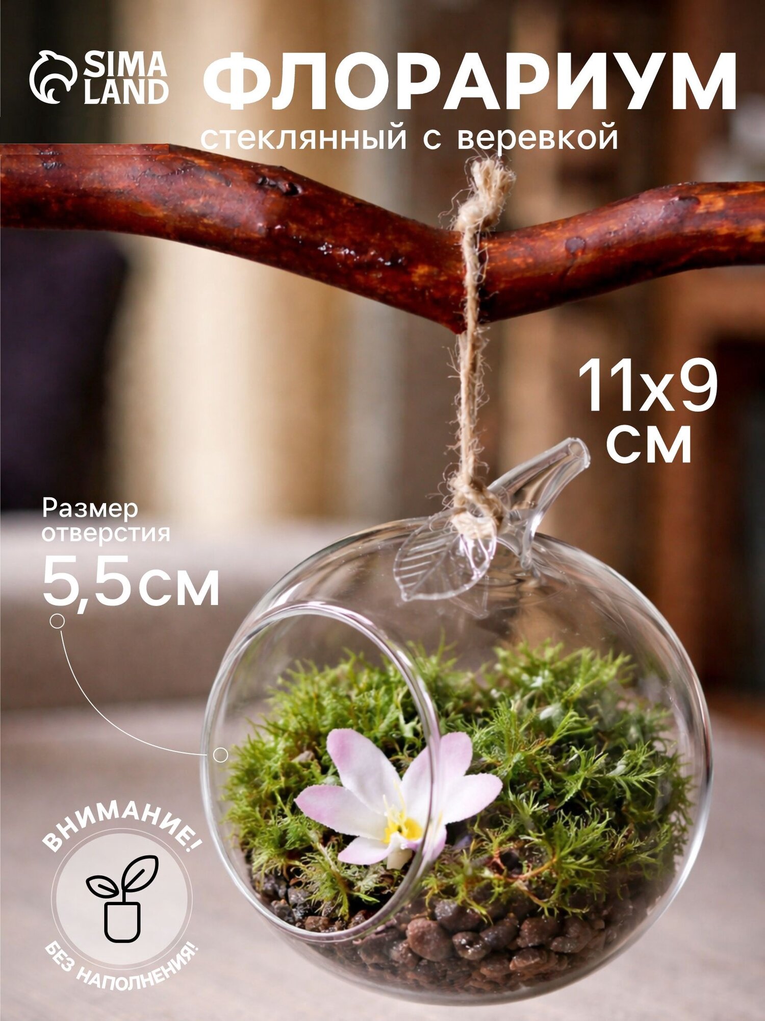 Флорариум Сима-Ленд "Натурель", яблоко, d=5.5 см, с веревкой