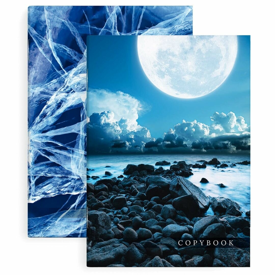 2 тетради А4 80л. кл. "Перевёртыш-Стихия" Феникс+ (61178)