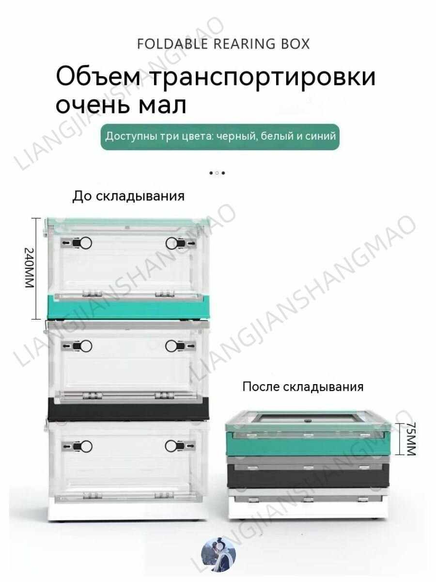 Террариум для улиток, паука, эублефара — фото 1
