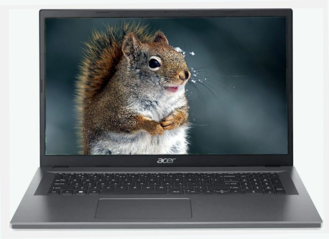 Ноутбук Acer Intel N-Series 3,1ГГц 4 ядер. 17,3' 1920x1080 Intel UHD Graphics Xe 24EUs Windows 11 Pro Русская раскладка