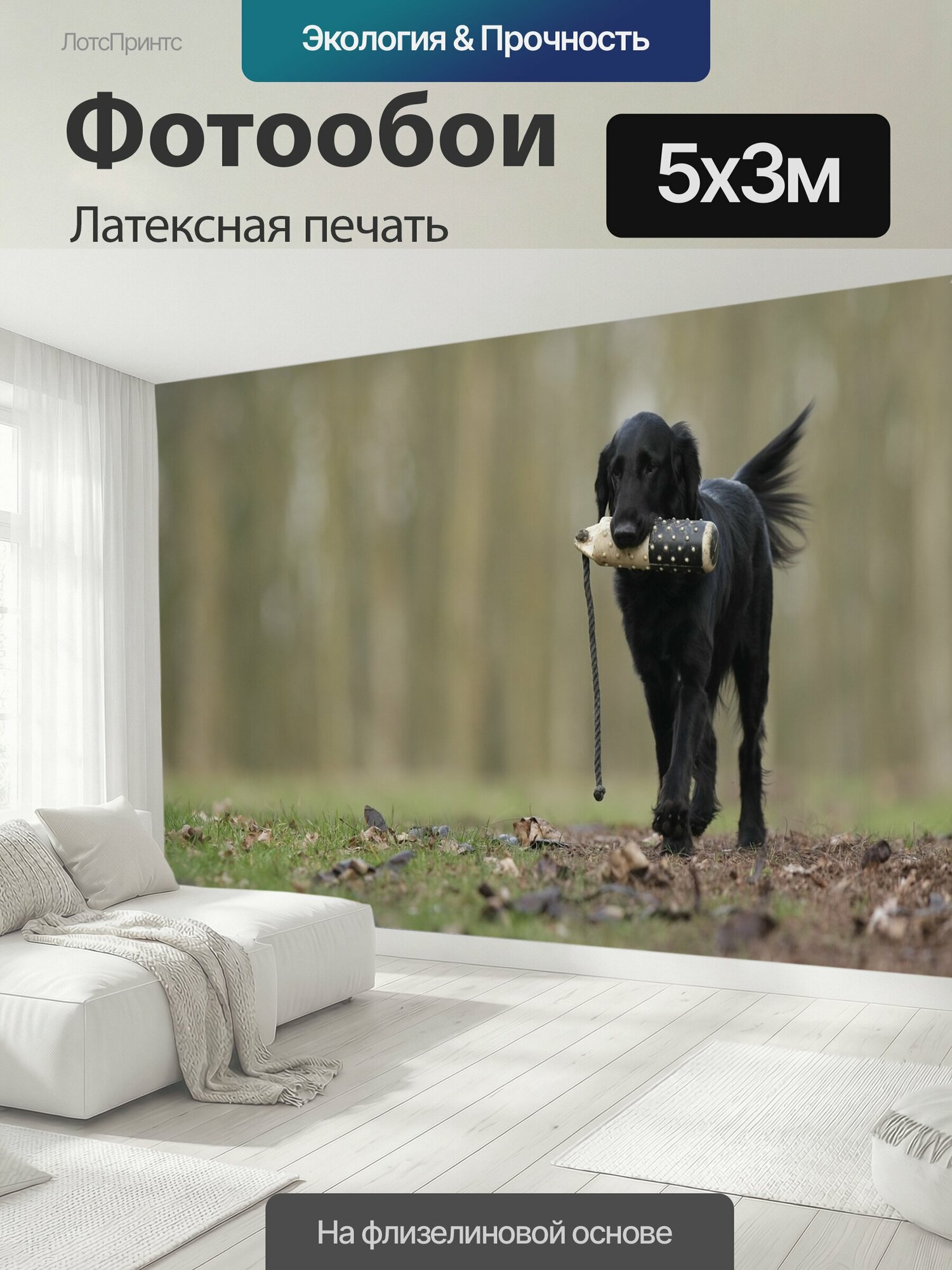 Фотообои моющиеся ударопрочные "Собака, прямошерстная ретривер, охота" 500x300 см. латексная печать