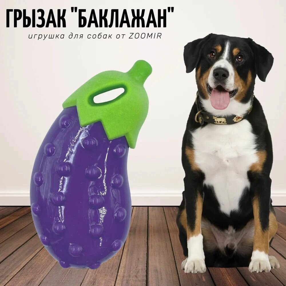 Игрушка для собак Баклажан , мяч из термопластической резины, пищащий, 11*5см пищащий мяч 11x5см