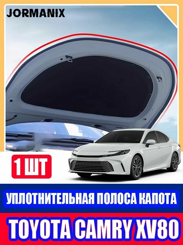 Уплотнители Toyota Camry XV80 — комплект уплотнительных лент для дверей, капота, B и C стоек, выбор вариантов легко