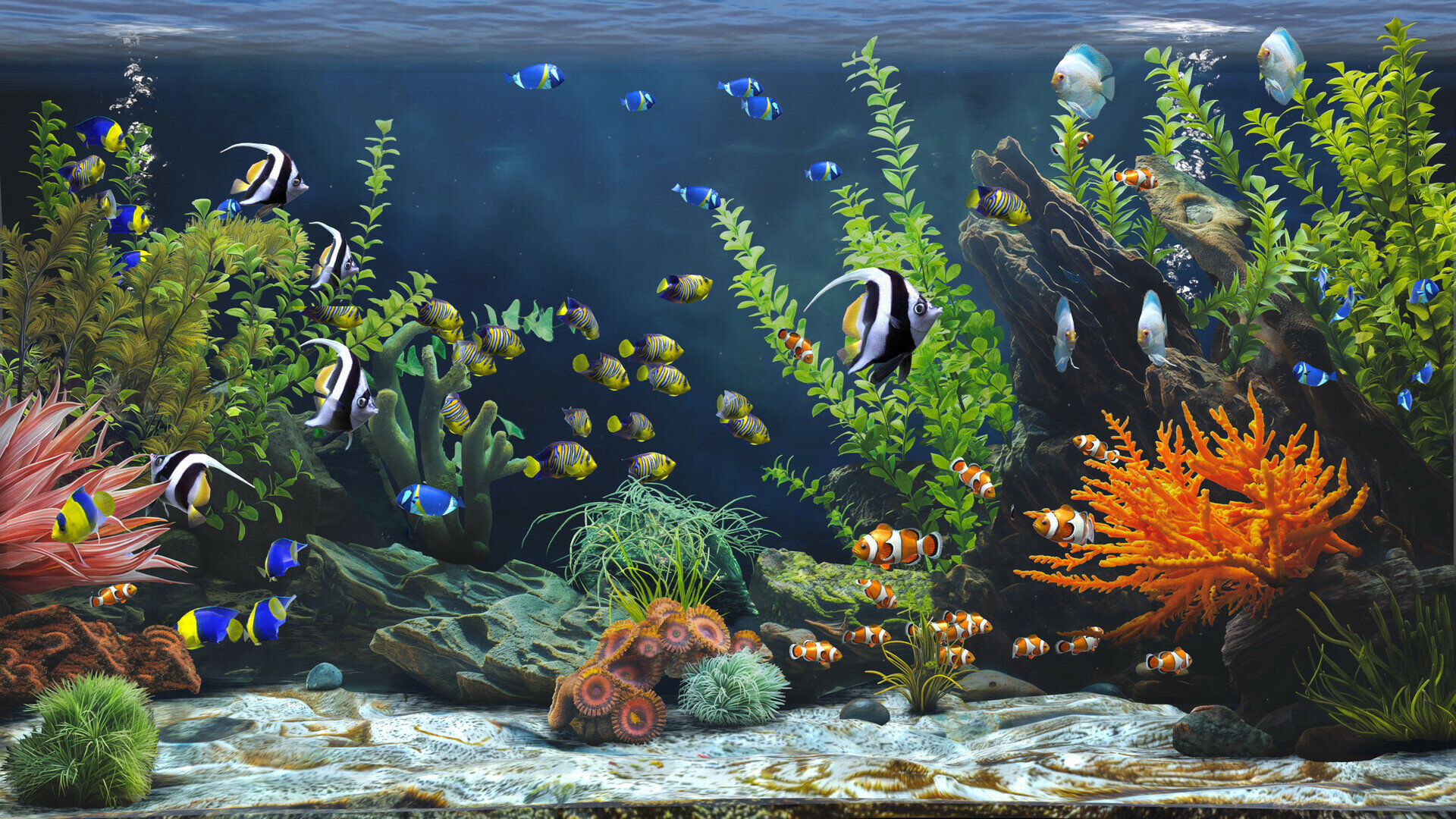 Zen Aquarium, Все страны — фото 1