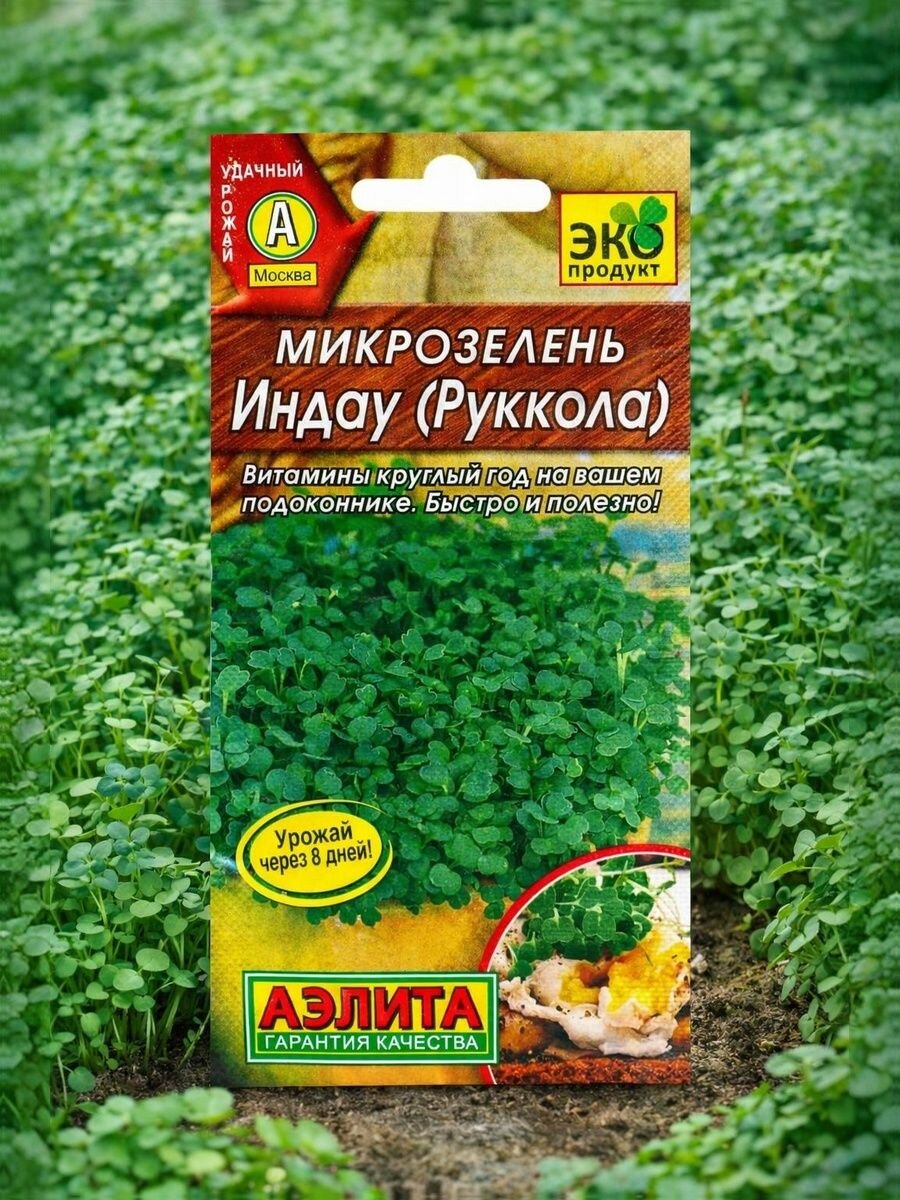 Семена микрозелени руккола (индау), микрозелень для дома, быстрый урожай, выращивание на подоконнике