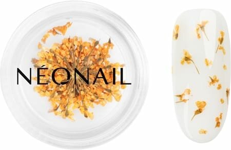 Моделирующий гель NeoNail Dried Flowers, оттенок orange, 1 шт