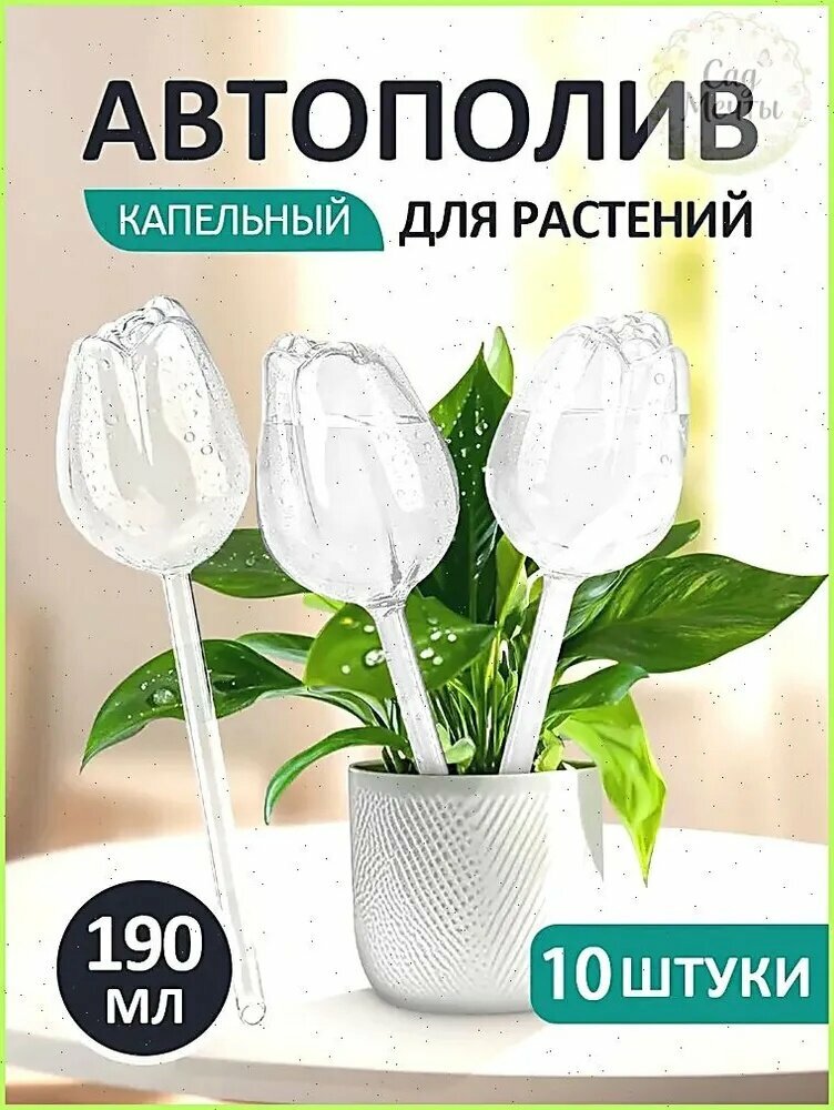 Кашпо с автополивом 6.5 см, 8 шт, цвет прозрачный