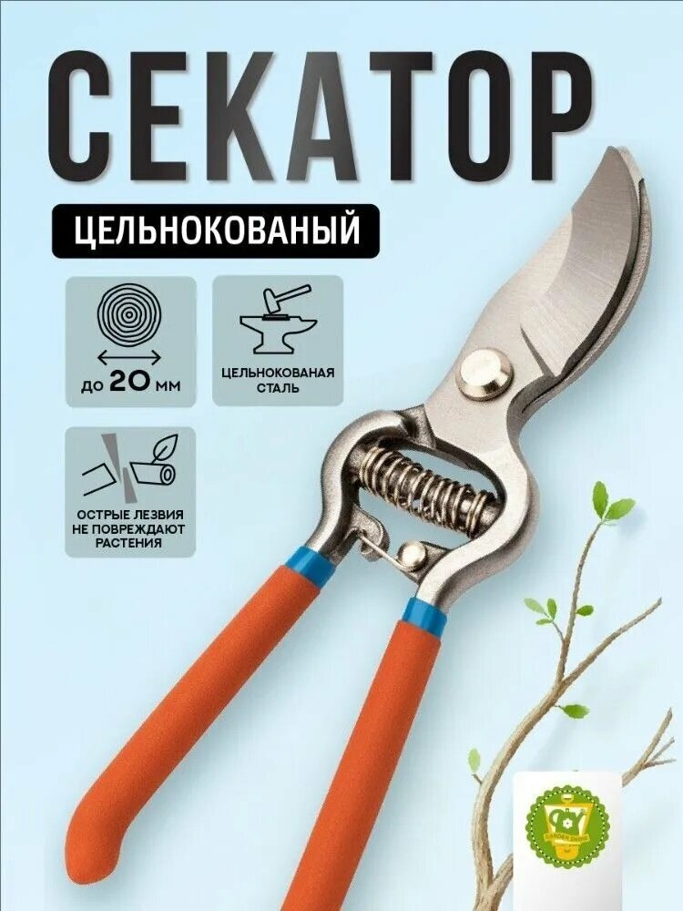 Секатор