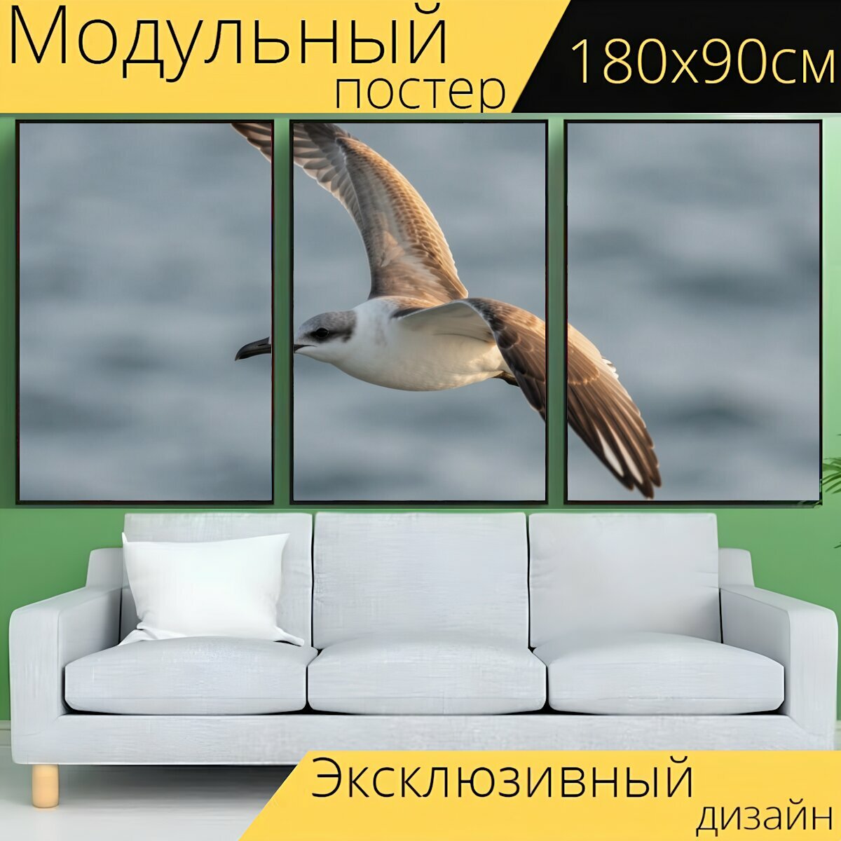 Модульный постер "Морская птица в полете. Парящая чайка над гладкой водной поверхностью, реалистичная съемка дикой природы, мягкие." 180 x 90 см. для интерьера на стену в тубусе