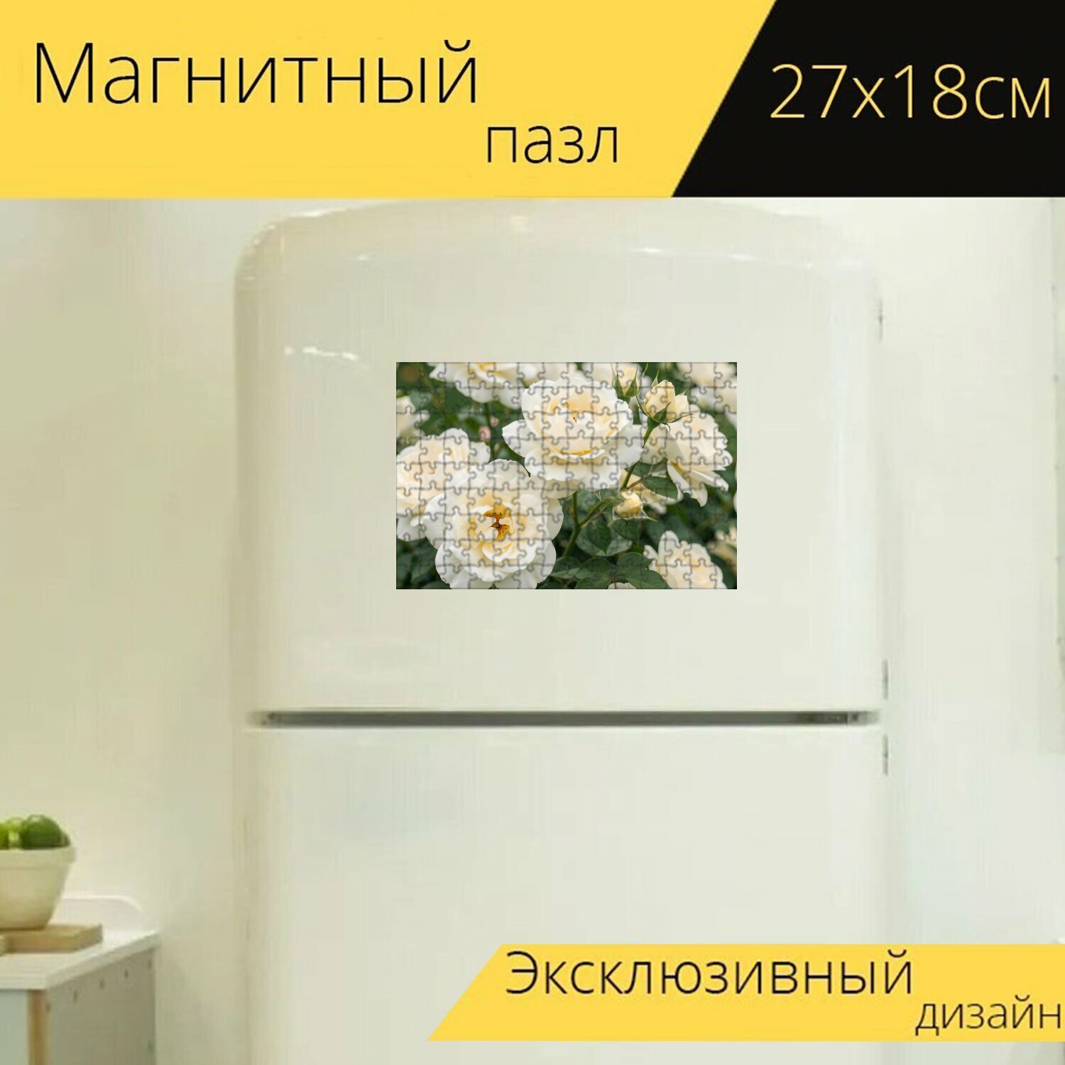 Магнитный пазл "Белые садовые розы. Нежные кремово-белые бутоны и распустившиеся цветы среди сочной зелени, мягкий размытый фон, природная макросъемка." на холодильник 27 x 18 см.