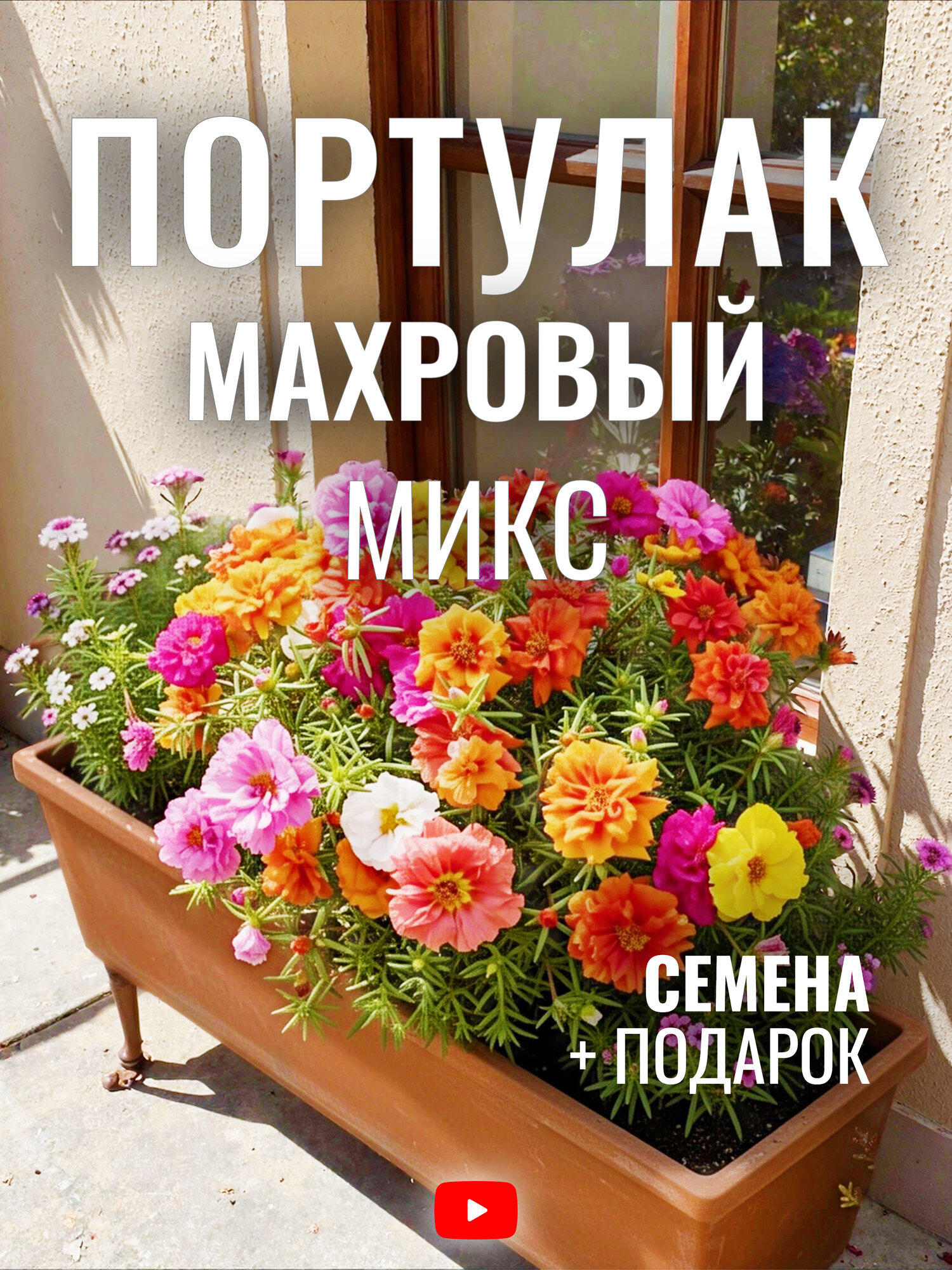 Портулак Махровый Микс, Семена, 50 шт, семена цветов для сада