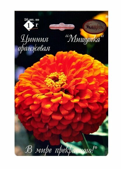 Семена цинния Каприс Мишутка оранжевая, однолетняя, декоративная