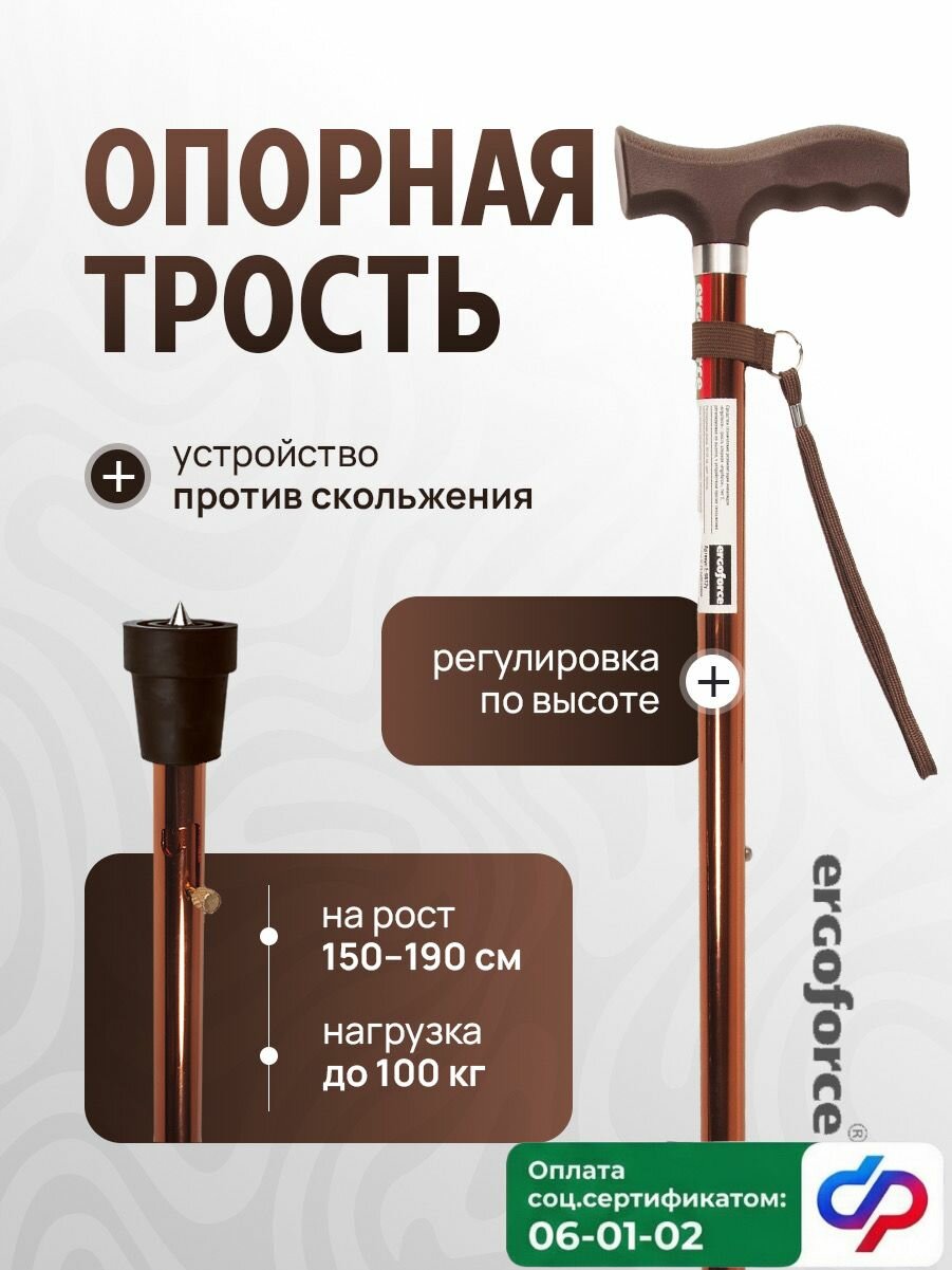 Средства технические реабилитации инвалидов ergoforce : трость опорная ergoforce , тип2, регулируемая по высоте, с устройством против скольжения ( артикул Е 0612у), цвет: бронза
