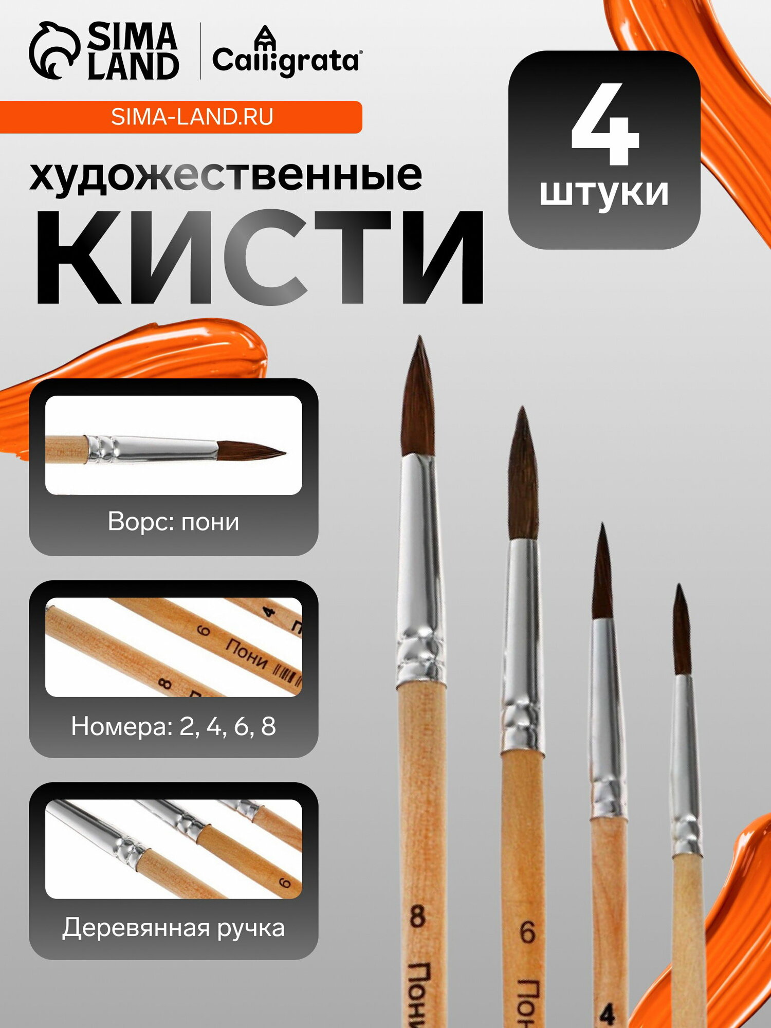 Набор кистей для рисования, пони, 4 штуки: № 2, 4, 6, 8, круглые, деревянная ручка, международный размер, 3 шт.