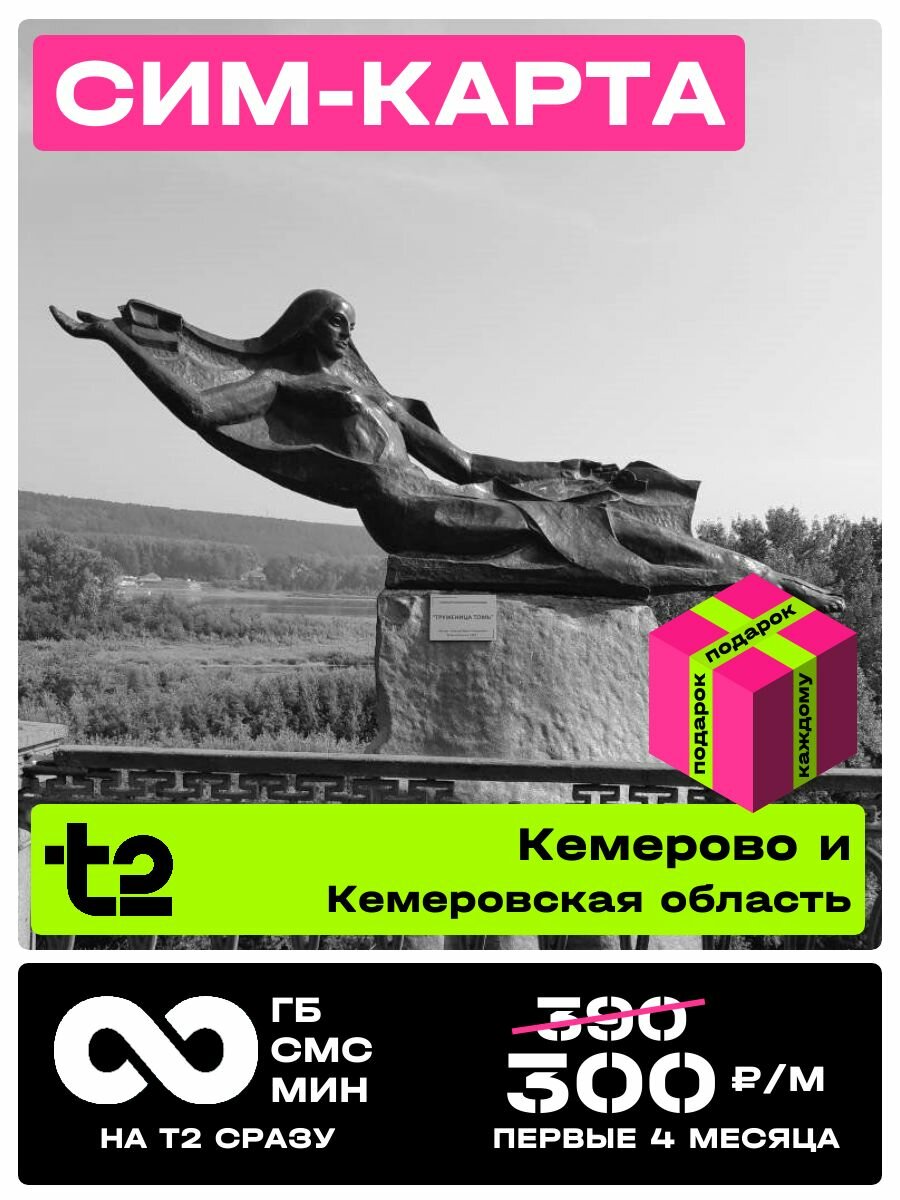 Сим карта теле 2 с безлимитным интернетом и минутами. t2 SIM-карта тариф хватит Кемеровская оюласть. За 300 рублей в месяц.