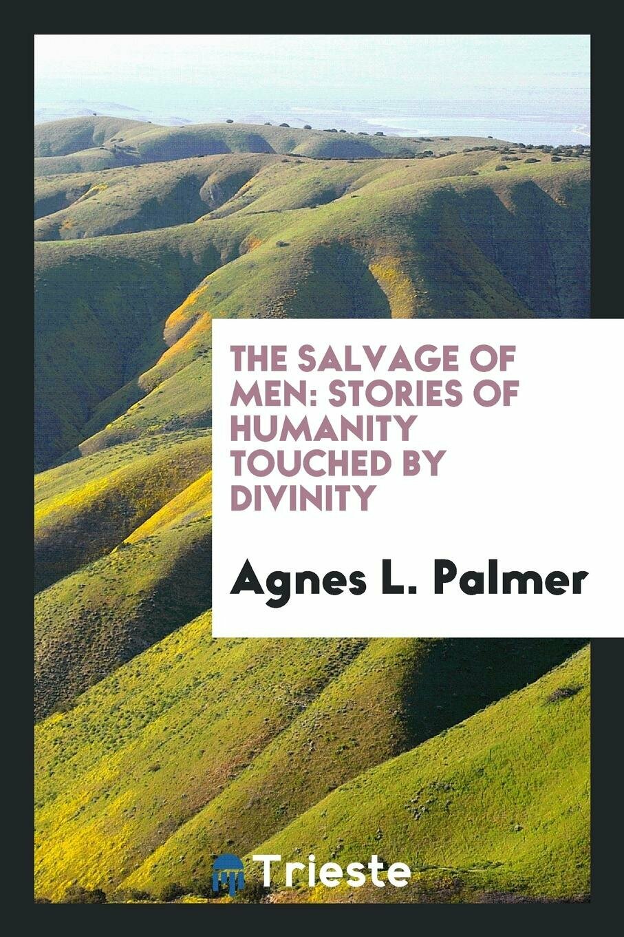 The Salvage of Men. Stories of Humanity Touched by Divinity